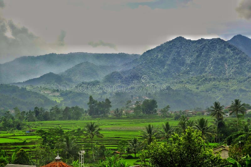 Beautiful View of Mountain Hill in Bogor, Indonesia. Stock Photo ...