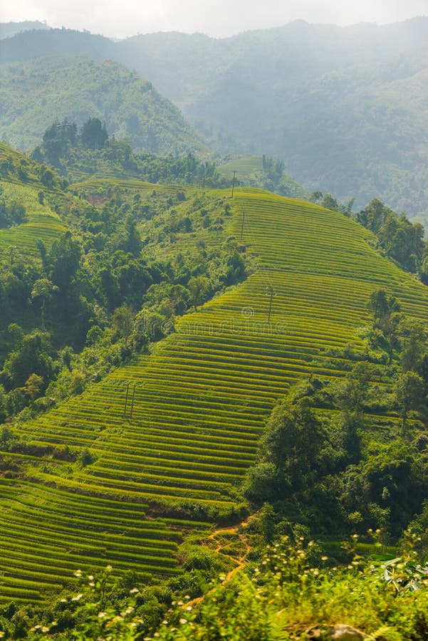 Beautiful View of Mountains Contain Terraced Fields Stock Photo - Image ...