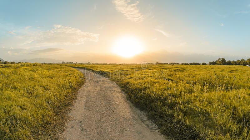 Beautiful View of a Narrow Path Surrounded by Green Grass Under a Blue ...