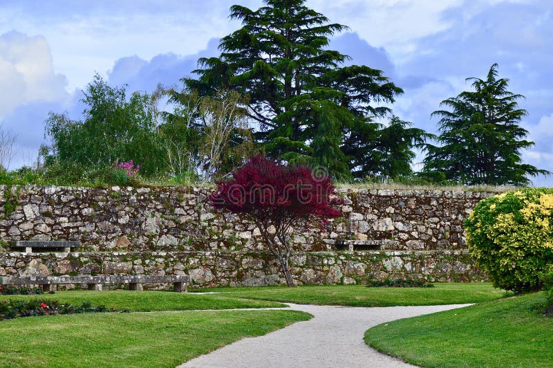 Beautiful View of Nature between Paths Stock Image - Image of branches ...