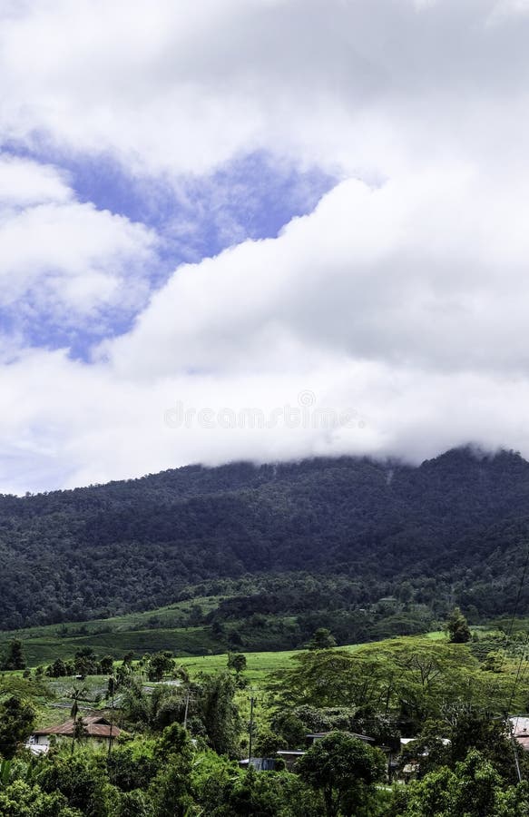 Beautiful View of Nature in West Sumatera, Indonesia Stock Photo ...