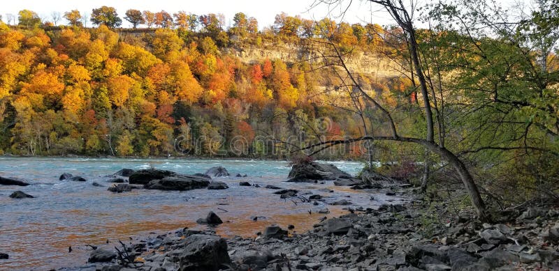 Beautiful View of the Niagara River Gorge Surrounded by Forest in ...