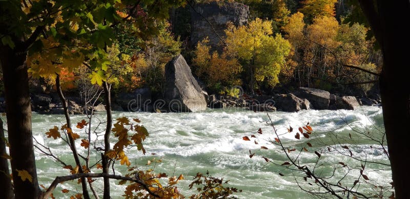 Beautiful View of the Niagara River Gorge Surrounded by Forest in ...