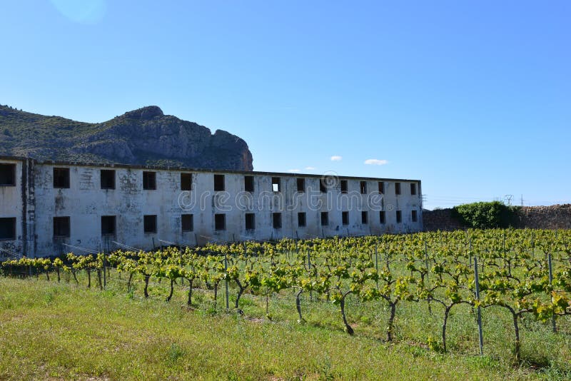 El Verger Stock Photos - Free & Royalty-Free Stock Photos from Dreamstime