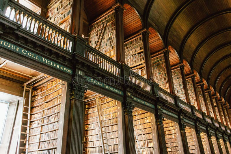 Beautiful View of an Old Library Interior Filled with Books and Ladders ...