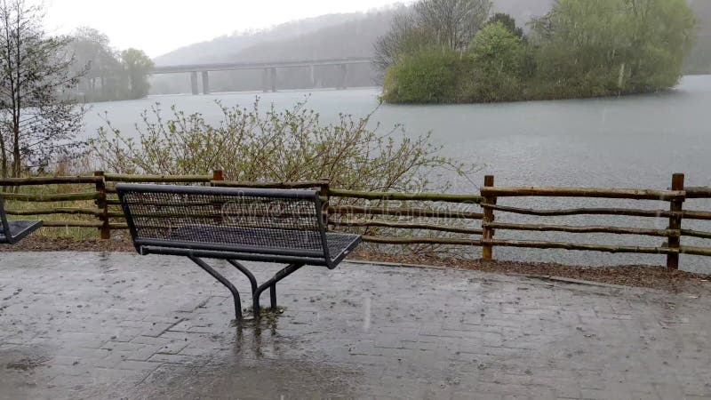 A Beautiful View of an Open Lake in the Forest Stock Video - Video of ...