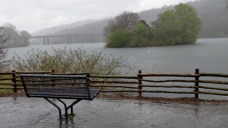 A Beautiful View of an Open Lake in the Forest Stock Video - Video of ...