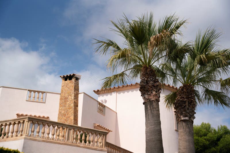 Beautiful View of Palm Trees in Front of a Building Editorial ...