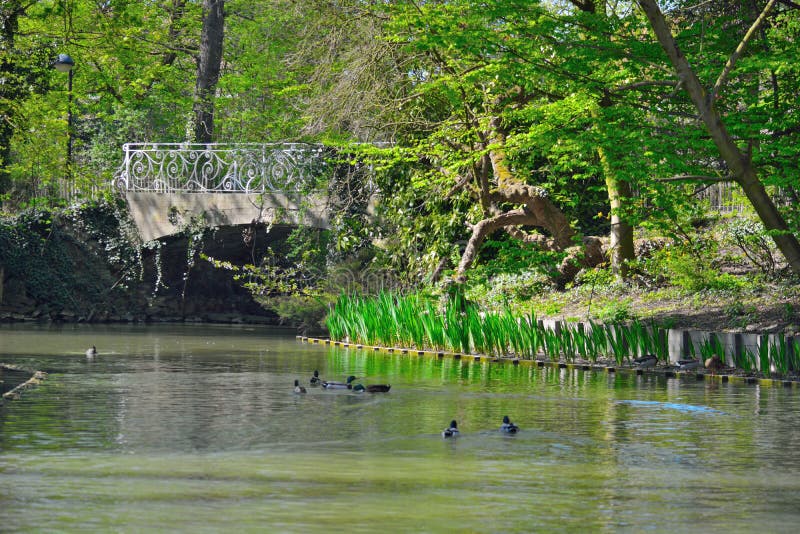 Beautiful view of a parc stock image. Image of trees - 53189311