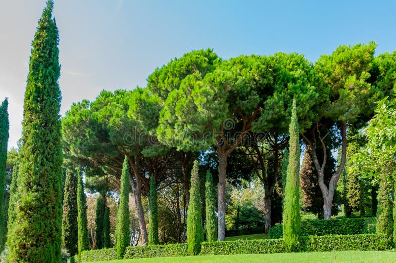 Beautiful View of the Park with Bright Greenery Stock Image - Image of ...