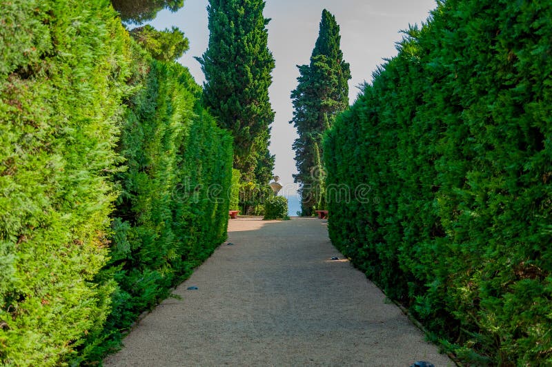 Beautiful View of the Park with Bright Greenery Stock Photo - Image of ...