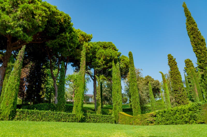 Beautiful View of the Park with Bright Greenery Stock Image - Image of ...