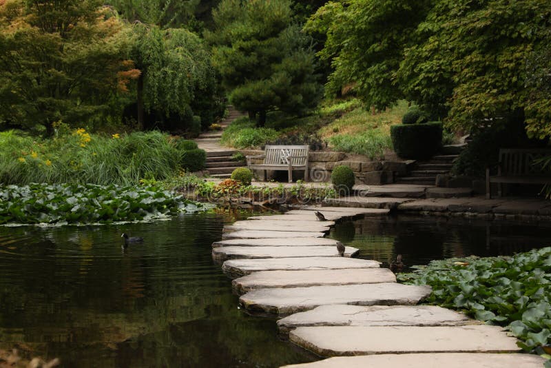 Beautiful View of Park with Pond, Stone Pathway and Green Plants Stock ...
