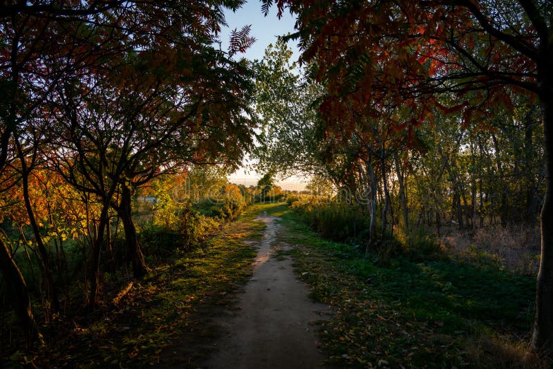 Beautiful View of a Pathway in a Forest Surrounded by Autumn Trees ...