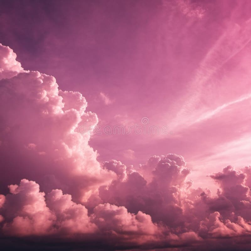 Beautiful View of Pink Clouds in Vibrant Sunset Sky. Clouds are Fluffy ...