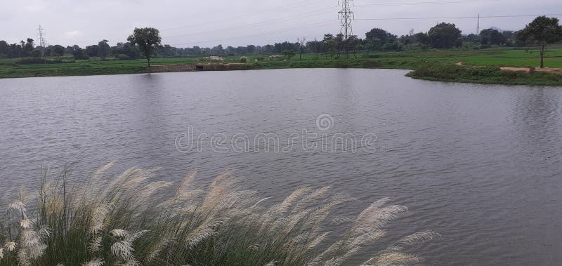 Beautiful View of Pond with Field in Its Side Way Stock Image - Image ...