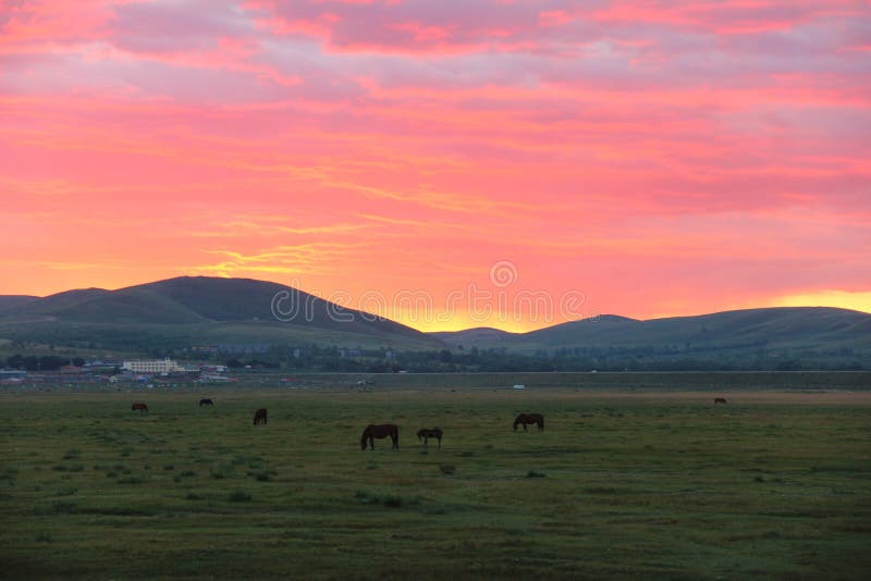 The sunrise of the prairie stock photo. Image of prairie - 99001432