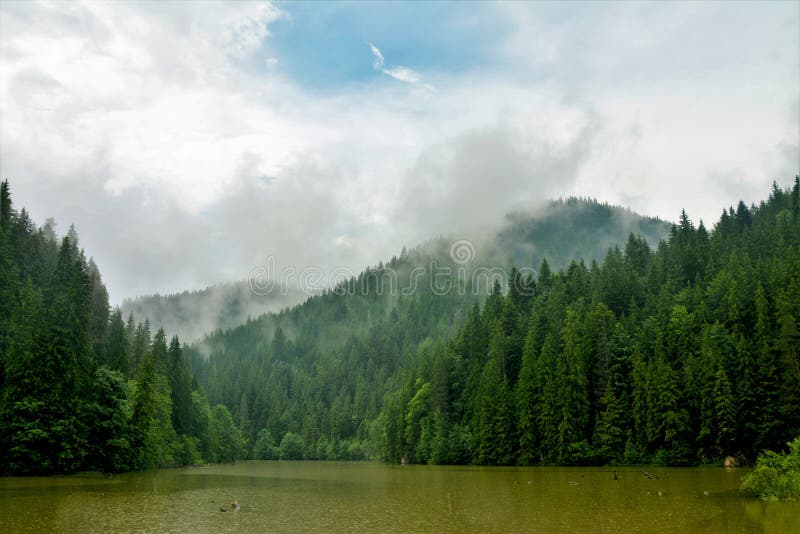 Beautiful View of the Red Lake in Romania Stock Image - Image of tree ...