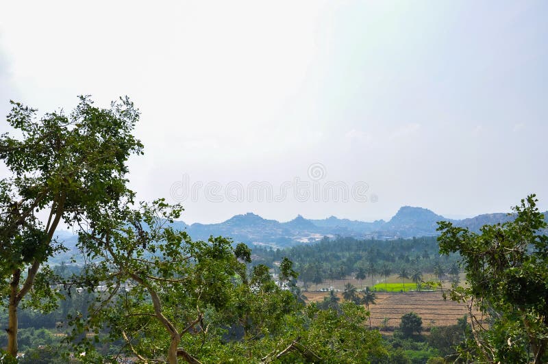 Beautiful View of Rice Fields and Trees in Hampi Stock Photo - Image of ...