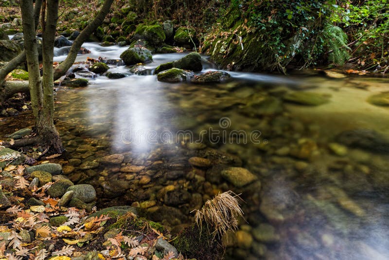 Beautiful View of a River with Rocks and Greenery Stock Photo - Image ...