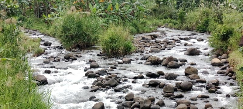 Beautiful View of the River Upstream Stock Image - Image of pond, view ...