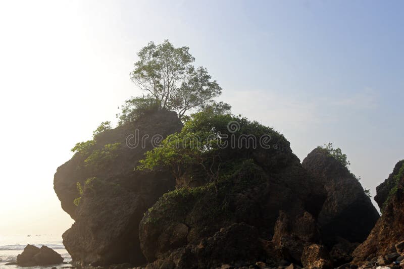 386 Beautiful Beach Pacitan East Java Indonesia Stock Photos - Free ...