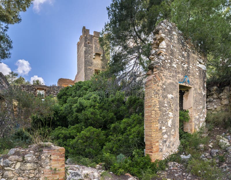 Beautiful View of Ruins of a Medieval Stone Building Surrounded by ...