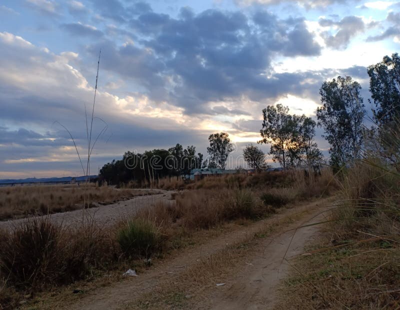 Beautiful View of Rural Area in India in the Evening. Stock Image ...