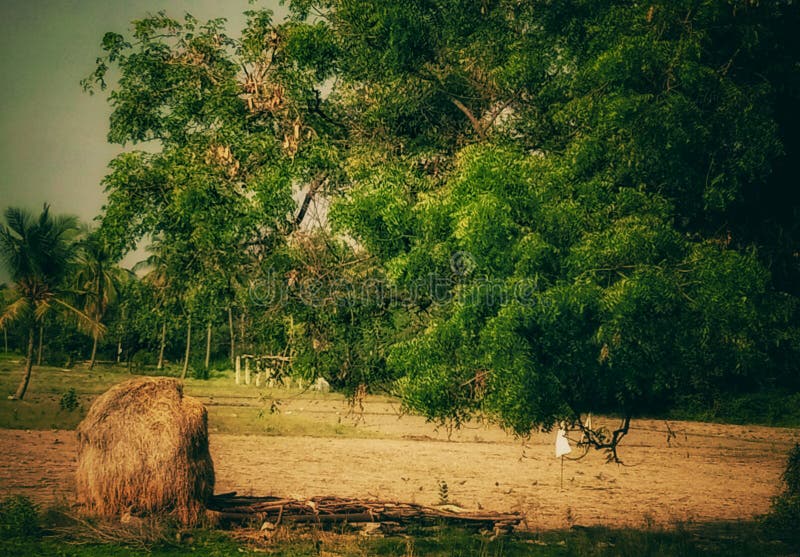 A Beautiful View of Rural India Stock Image - Image of field ...