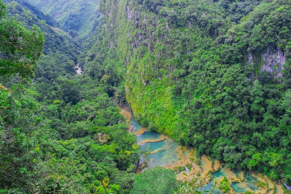 Beautiful View of the Semuc Champey River Stock Image - Image of ...