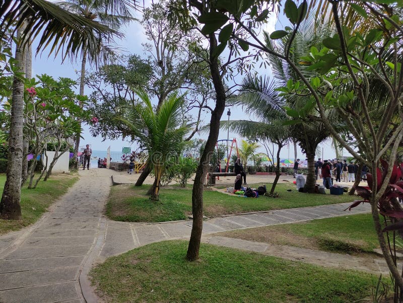 Beautiful View of Shady Trees Near the Beach Stock Photo - Image of ...