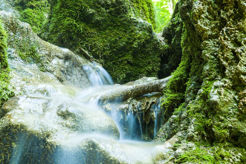 Beautiful View of a Small Cascading Waterfall in a Forest with Silky ...