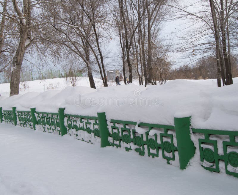 Beautiful View of the Snowy Winter Park on Cold Day Stock Image - Image ...