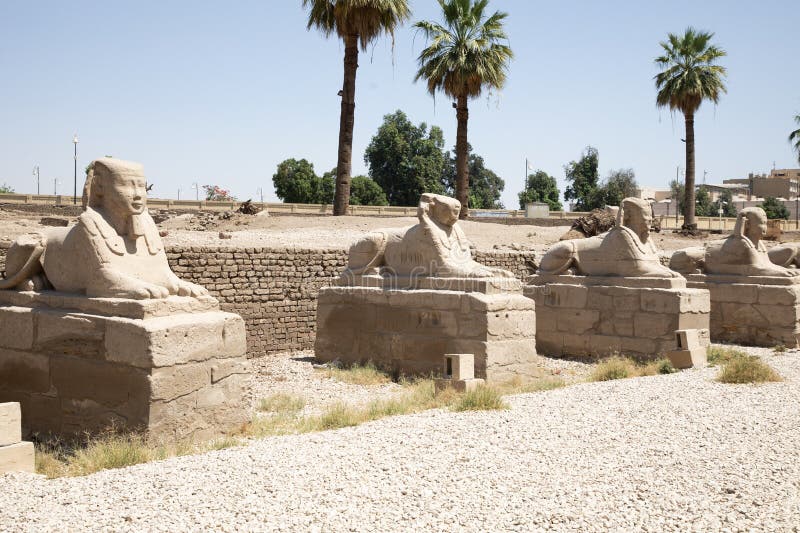 Beautiful View of the Sphinx Sculptures in Ancient Luxor Temple in ...
