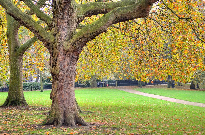 A Beautiful View of St. Jamess Park in London during Spring Stock Image ...
