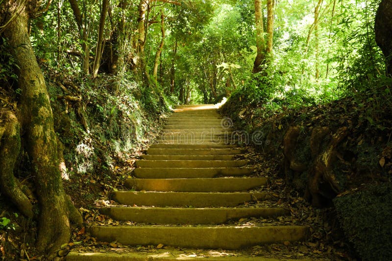 Beautiful View of Stairs in Park among Trees Stock Image - Image of ...