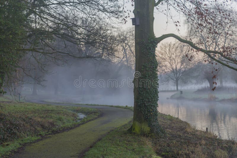 Beautiful View of a Sunrise with a Path in the Middle of the Forest ...