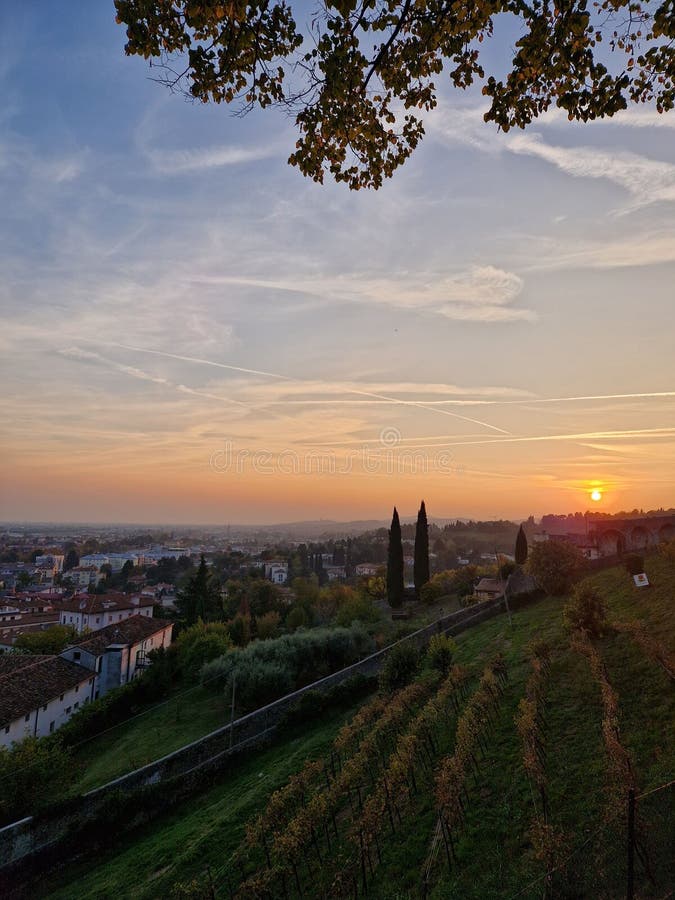 Beautiful View of the Sunset Over the Park and Buildings. Stock Photo ...