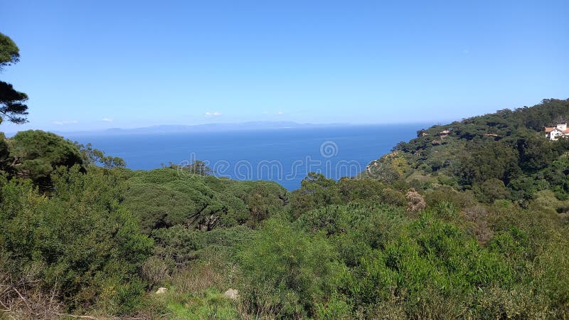 Beautiful view of Tangier stock photo. Image of forest - 226007190
