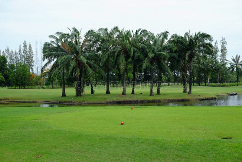 Red Teeing Ground on the Golf Course Stock Image - Image of area, azure ...