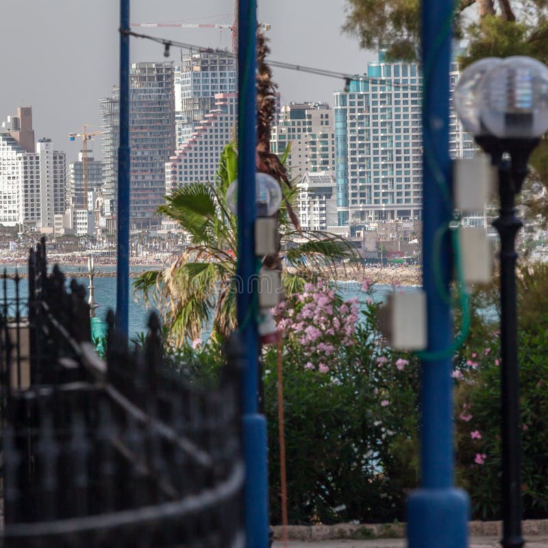 Beautiful View of the Tel Aviv Editorial Image - Image of hotel ...