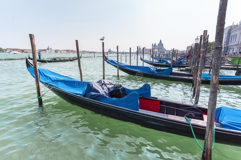 Beautiful View Of Traditional Gondola On Canal Grande With Basilica Di
