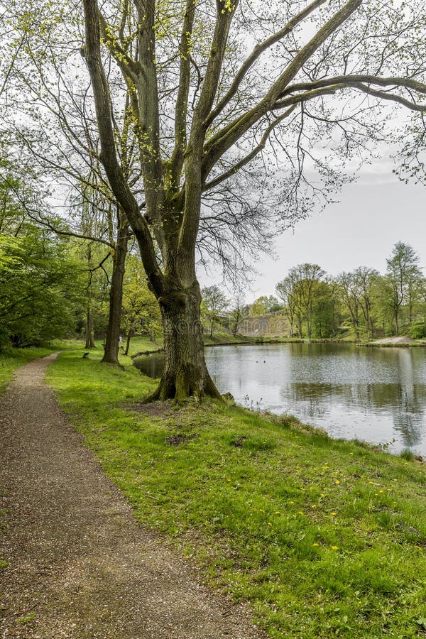 Path by Lake at Jade Dragon Snow Mountain Stock Photo - Image of ...