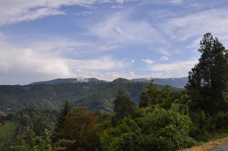 Beautiful View on Trees and Distant Mountains Stock Image - Image of ...
