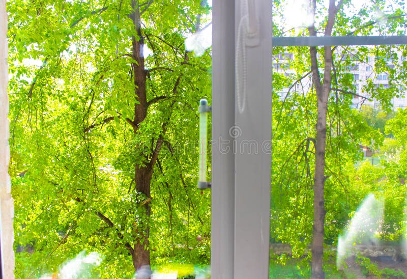 Beautiful View from the Window in the Summer Afternoo Stock Photo ...