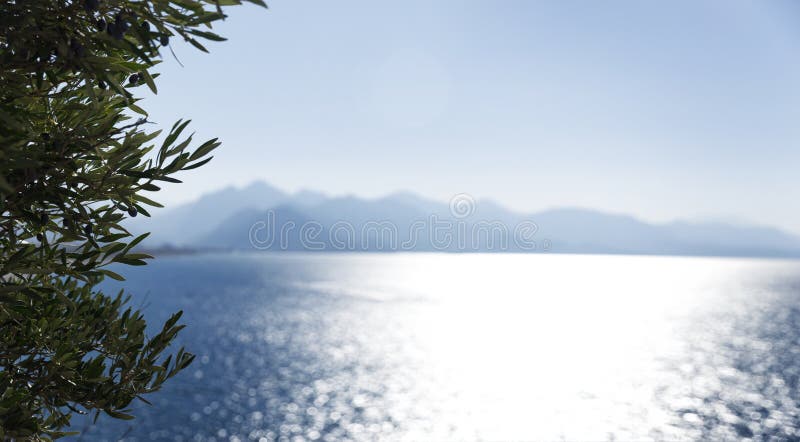 Beautiful View from Under the Tree on the Mediterranean Coast and the ...