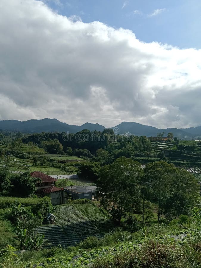 A Beautiful View, Underneath There is a Stretch of Rice Fields and in ...