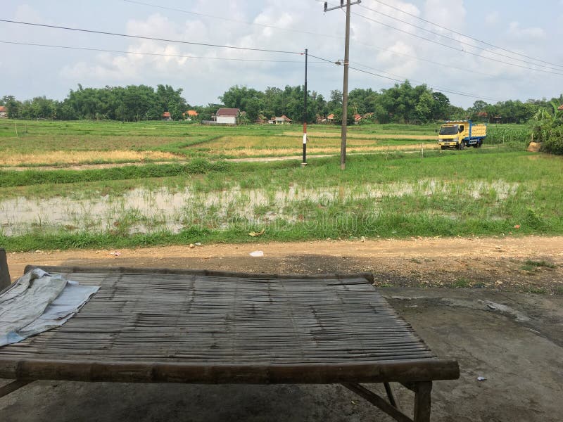 Beautiful View in the Village Activities in the Fields Stock Photo ...