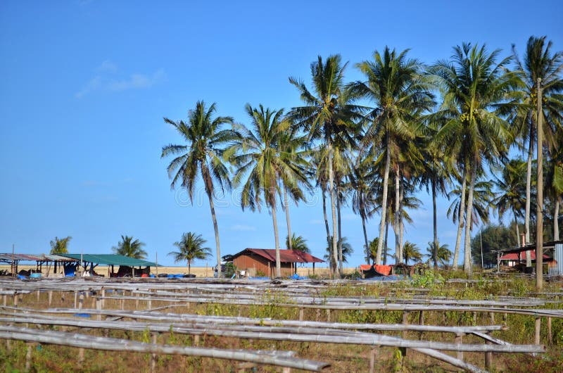 Beautiful View of the Village with Its Trees. Stock Image - Image of ...