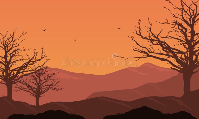 Beautiful View of a Warm Afternoon Atmosphere on the Edge of the City ...